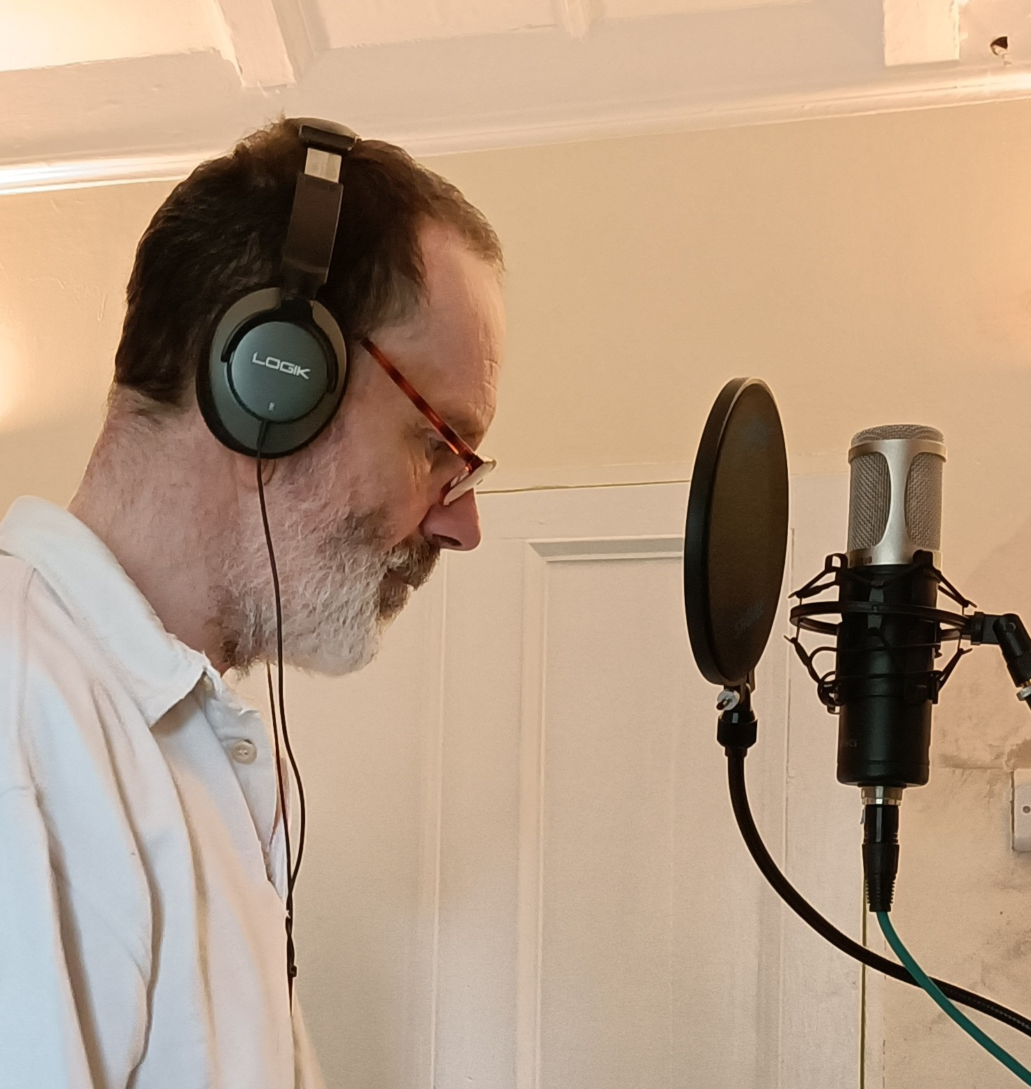 Andy Walsh | Phoenix Studios